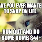First World Problems Cat Meme Generator - Imgflip