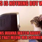 cat watching tv Meme Generator - Imgflip