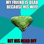 Crazy Girlfriend Praying Mantis Meme Generator - Imgflip