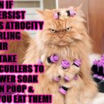 CURLY DIARRHEA Meme Generator - Imgflip