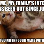 Help Me Kitten Meme Generator - Imgflip