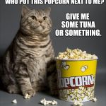 Cat eating popcorn Meme Generator - Imgflip