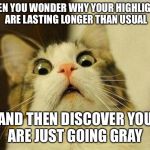 Scared Cat Meme Generator - Imgflip