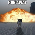 cat explosion Meme Generator - Imgflip