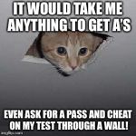 Ceiling Cat Meme Generator - Imgflip