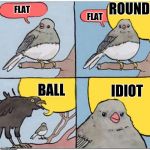 annoyed bird Meme Generator - Imgflip