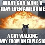 cat explosion Meme Generator - Imgflip
