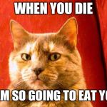 Suspicious Cat Blank Meme Template - Imgflip