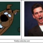 Totally Looks Like Meme Generator - Imgflip