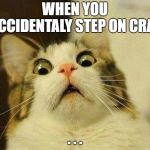 Scared Cat Meme Generator - Imgflip