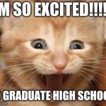 Excited Cat Meme Generator - Imgflip