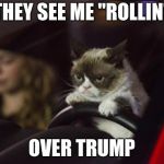 Angry Cat Driving Memes