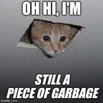 Ceiling Cat Meme Generator - Imgflip