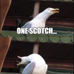 Inhaling Seagull Meme Generator - Imgflip