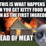 Burn Kitty Meme Generator - Imgflip