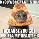 pizza cat Meme Generator - Imgflip