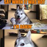 Bad Pun Dog Meme Generator - Imgflip