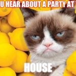 Grumpy Cat lemons Meme Generator - Imgflip