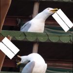 Inhaling Seagull Meme Generator - Imgflip