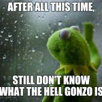 kermit window Meme Generator - Imgflip