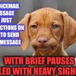 Disappointed Dog Meme Generator - Imgflip