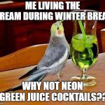 Big Sip Meme Generator - Imgflip