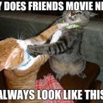 Two cats fighting for real Meme Generator - Imgflip