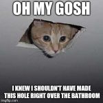 Ceiling Cat Meme Generator - Imgflip