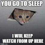 Ceiling Cat Meme Generator - Imgflip