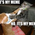 Two cats fighting for real Meme Generator - Imgflip