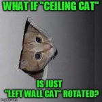 Ceiling Cat Meme Generator - Imgflip