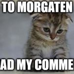 Sad kitten Meme Generator - Imgflip