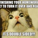 Scared Cat Meme Generator - Imgflip