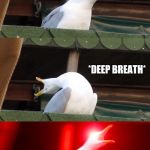 Inhaling seagull Meme Generator - Imgflip