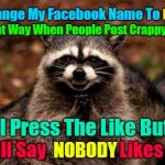Evil Plotting Raccoon Meme Generator - Imgflip