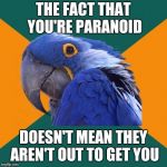 Paranoid Parrot Meme Generator - Imgflip