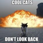 cat explosion Meme Generator - Imgflip