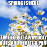 spring daisy flowers Meme Generator - Imgflip