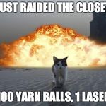 cat explosion Meme Generator - Imgflip