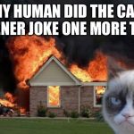 Burn Kitty Meme Generator - Imgflip