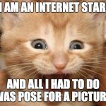 Excited Cat Meme Generator - Imgflip