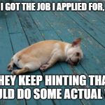 tired dog Meme Generator - Imgflip