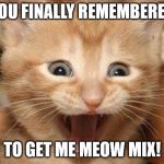 Excited Cat Meme Generator - Imgflip