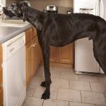 the great mundane Meme Generator - Imgflip