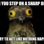Weird Stuff I Do Potoo Meme Generator - Imgflip