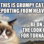 Grumpy Cat Sky Meme Generator - Imgflip