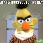 Sesame Street - Angry Bert Meme Generator - Imgflip