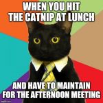 Business Cat Blank Meme Template - Imgflip