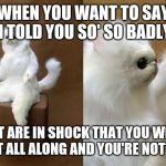 Persian Cat Room Guardian Meme Generator - Imgflip