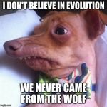 Tuna the dog (Phteven) Meme Generator - Imgflip